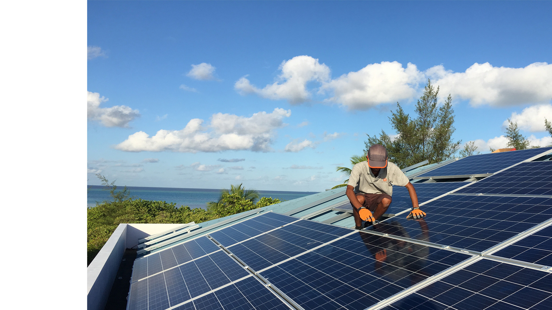 Services | Avi Technologies